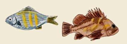 Case Study 4: Mount Baker Terminal | Pacific Marine and Estuarine Fish ...